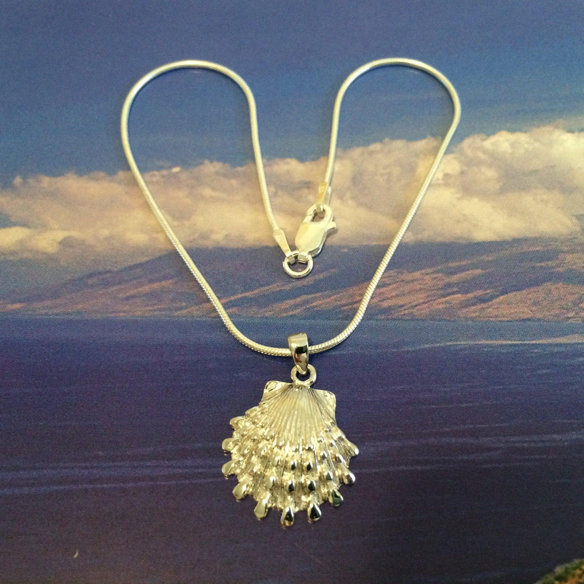 Beautiful Hawaiian Seashell Anklet or Bracelet, Sterling Silver Sea Sh ...